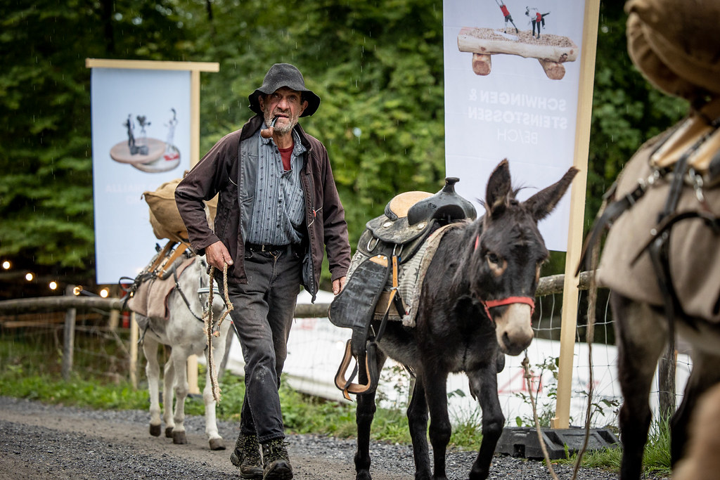 Die Schweizer sterben aus