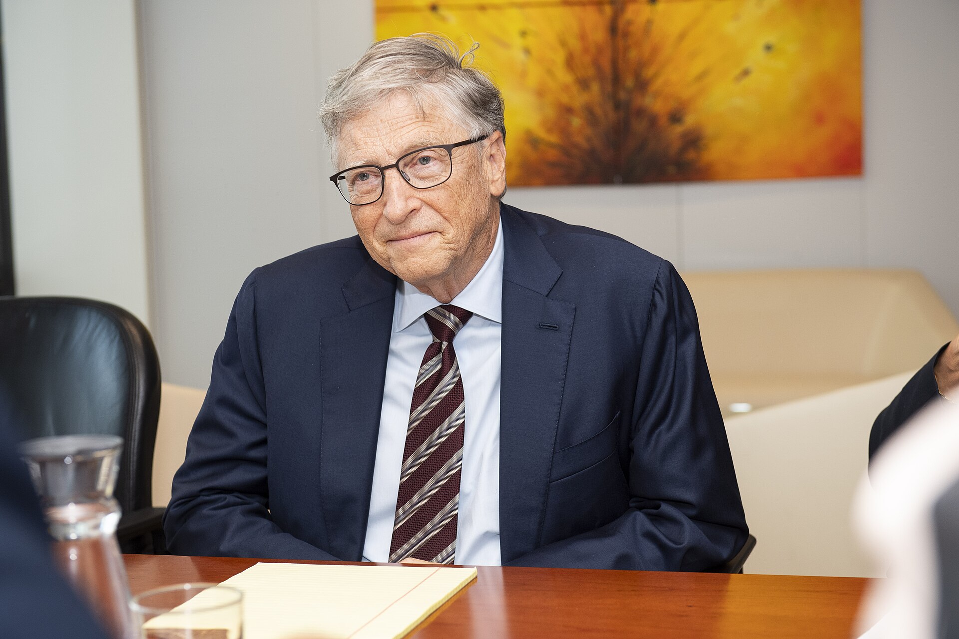 Bill Gates vor Epstein-Ausschuss